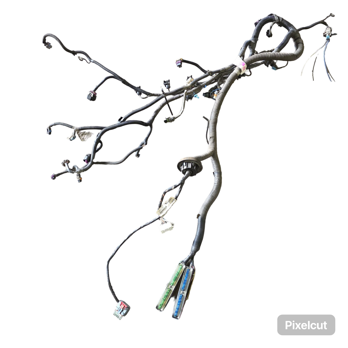 JOFB VZ Holden Commodore - LS1 V8 Manual Engine Harness — Commodore ...