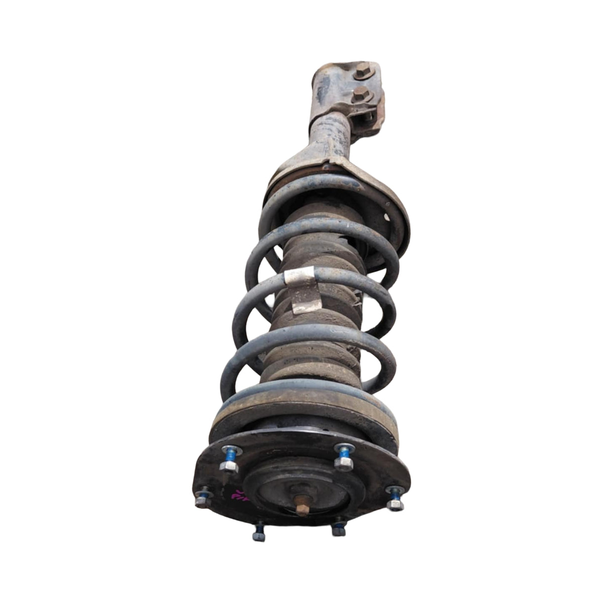 A146 - VS Holden Commodore Utility - Front Strut (STANDARD) V6 AUTO ...