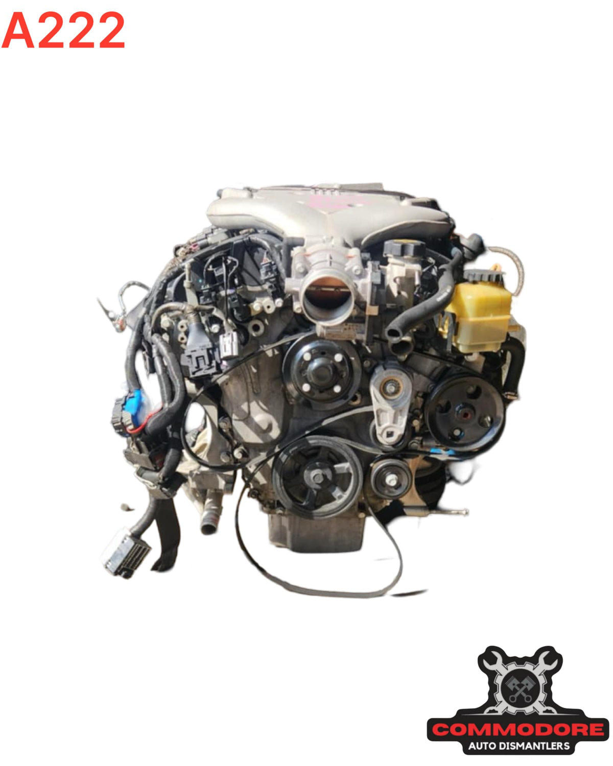 A222 - VE OMEGA - Engine (Complete) — Commodore Auto Dismantlers