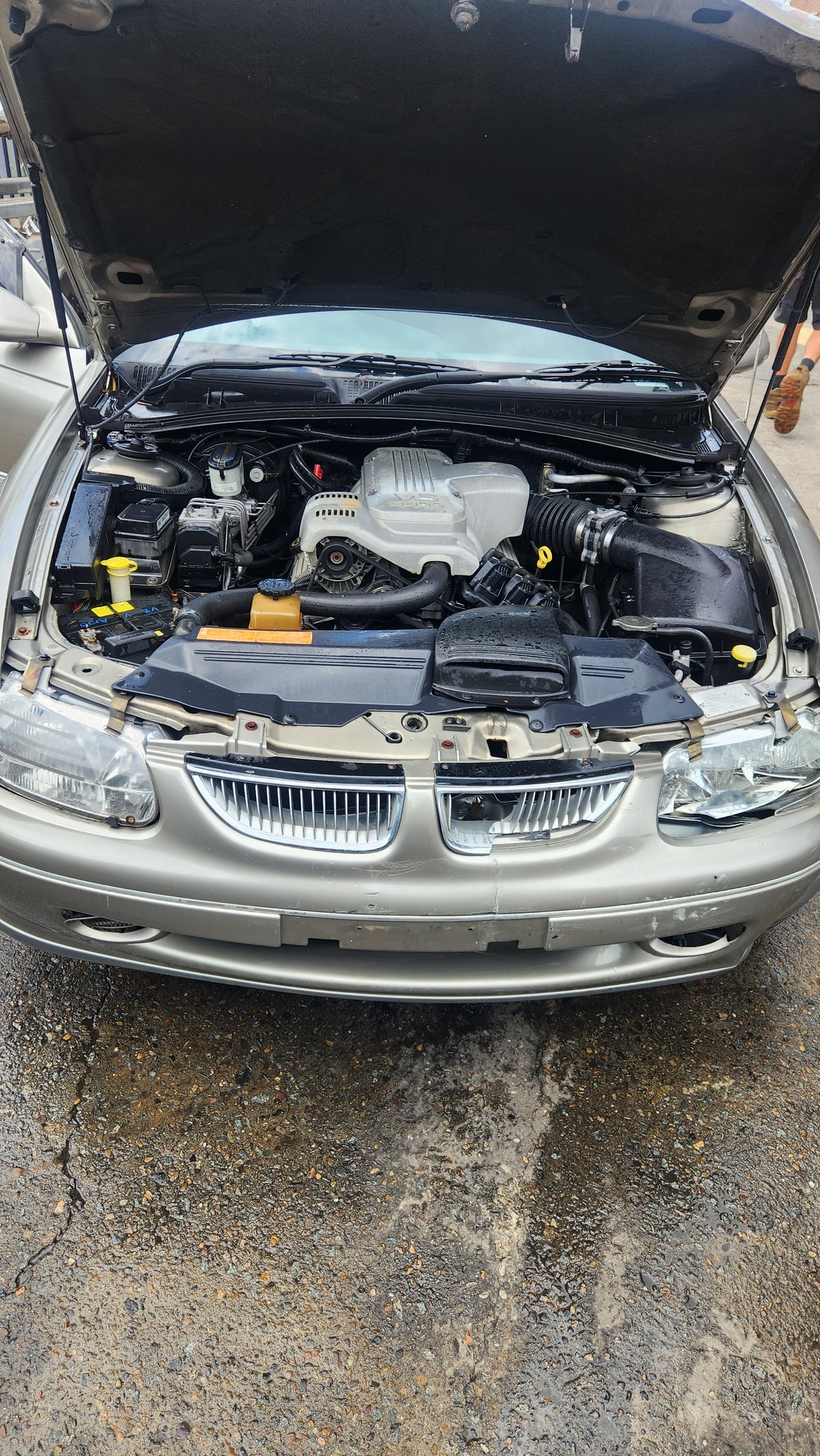 A177 - VT Calais V6 LN3 - Engine Harness — Commodore Auto Dismantlers